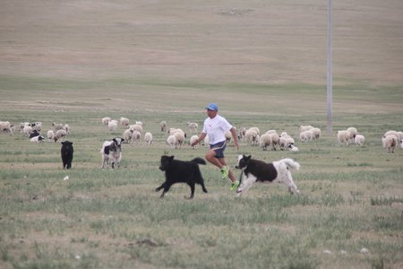 Mongolia 14 June: Murun city ( Khuvsgul aimag ) - Tsagaan Uul sum ...