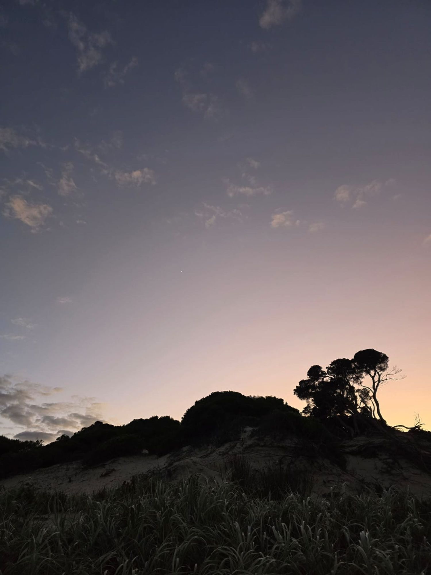 Australia 2 June: Ravensthorpe, WA - Wellstead Bush Camp, WA | The Sri ...