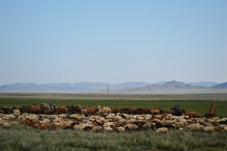 Mongolia 14 June: Tuv aimag Lun sum - Erdenesant - Bulgan aimag ...